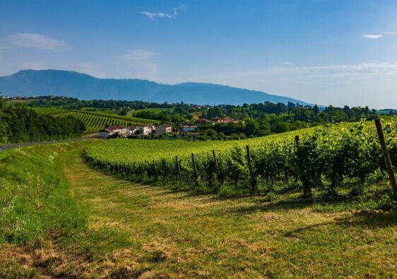 10 motivi per visitare il Veneto: keep calm & visit Veneto